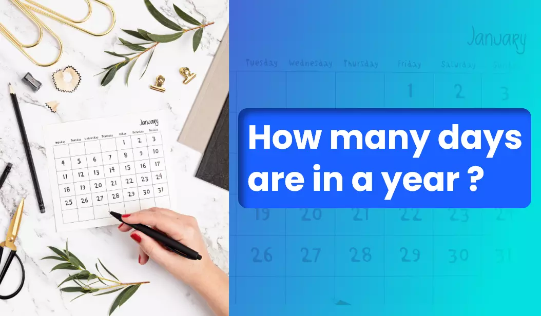 How Many Days Are In A Year Workjo